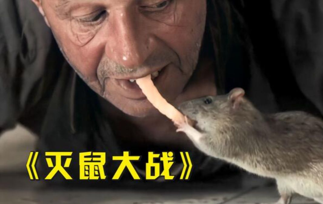 老鼠携带致命病毒,疯狂攻击人类,十天摧毁一个国家,灾难电影