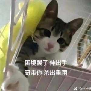 _打死不吃香菜 