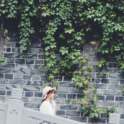 罗罗的生活不迷糊 