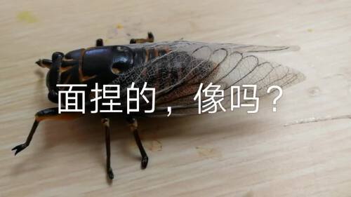 新派面塑艺术,用面捏的,蝉