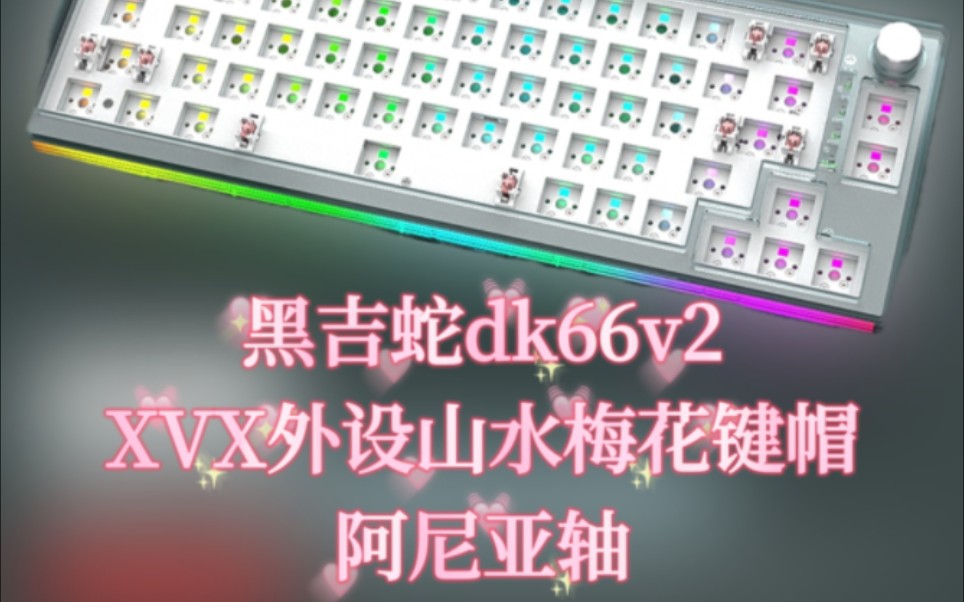 ...阿尼亚轴再营业/配合黑吉蛇DK66V2和山水梅花将擦出怎样的火花呢?