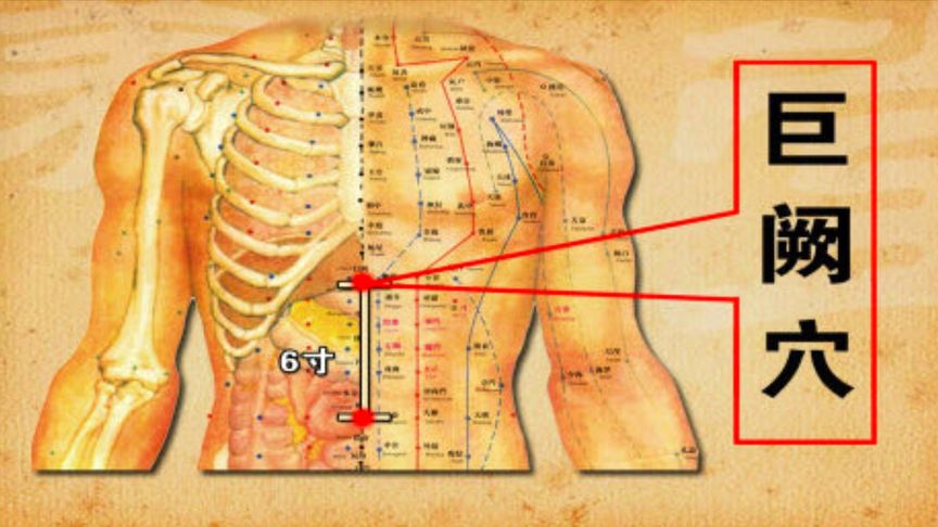 人体要穴之巨阙穴