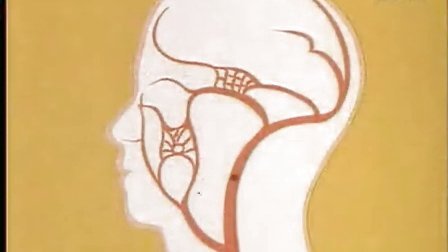 心脑血管疾病的危害