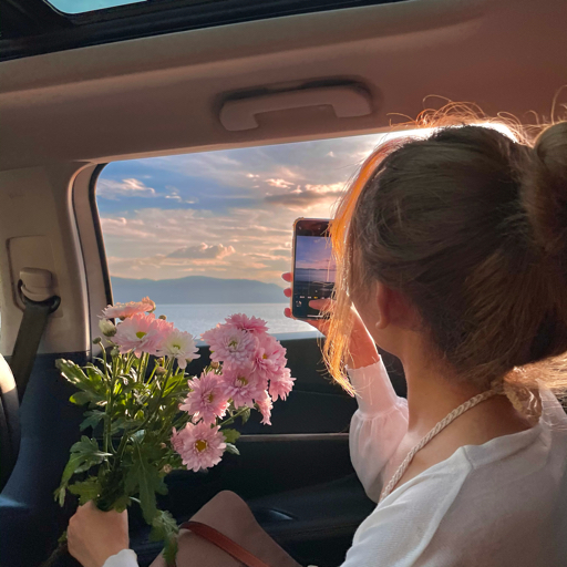 泡菜鱼的机智生活 