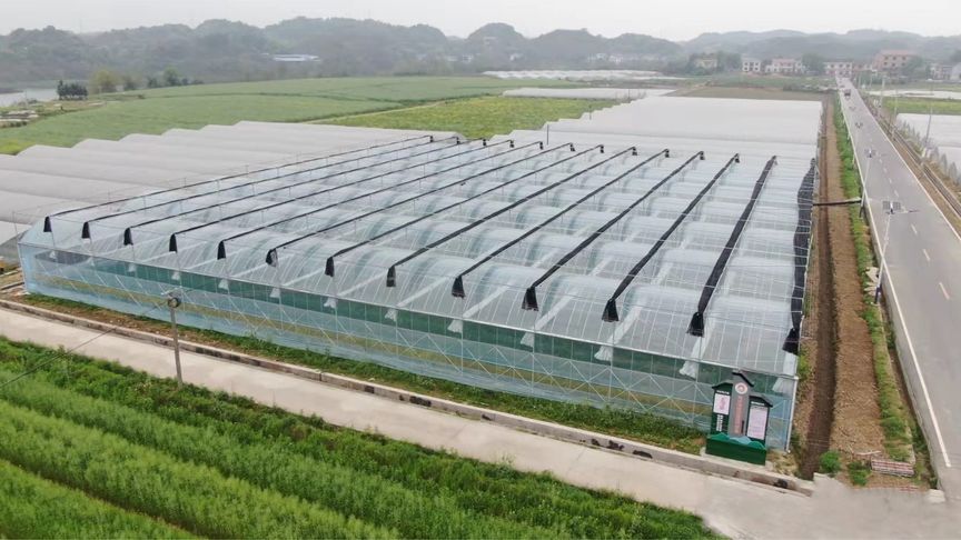 加快推进仓储冷链建设,为农产品保鲜增值