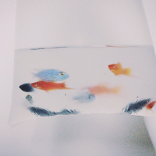 沐沐blue_ 