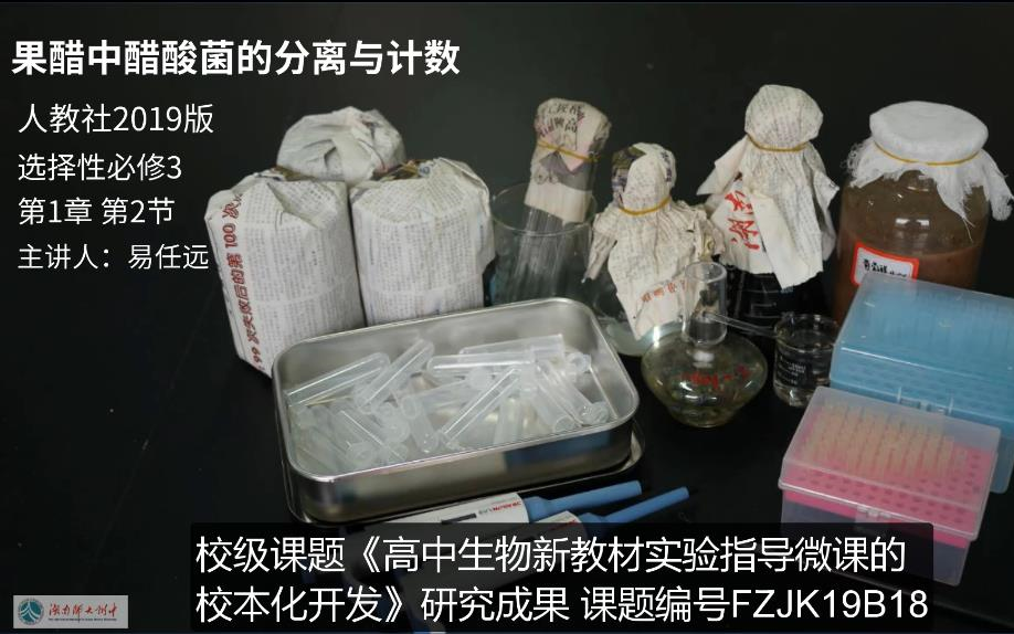 果醋中醋酸菌的分离与计数-2019版