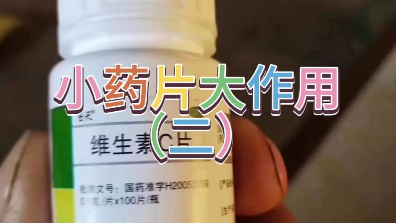 VC在养鸡生产中的作用