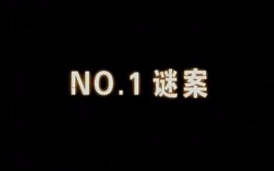 【中国警方在行动】——NO.1谜案