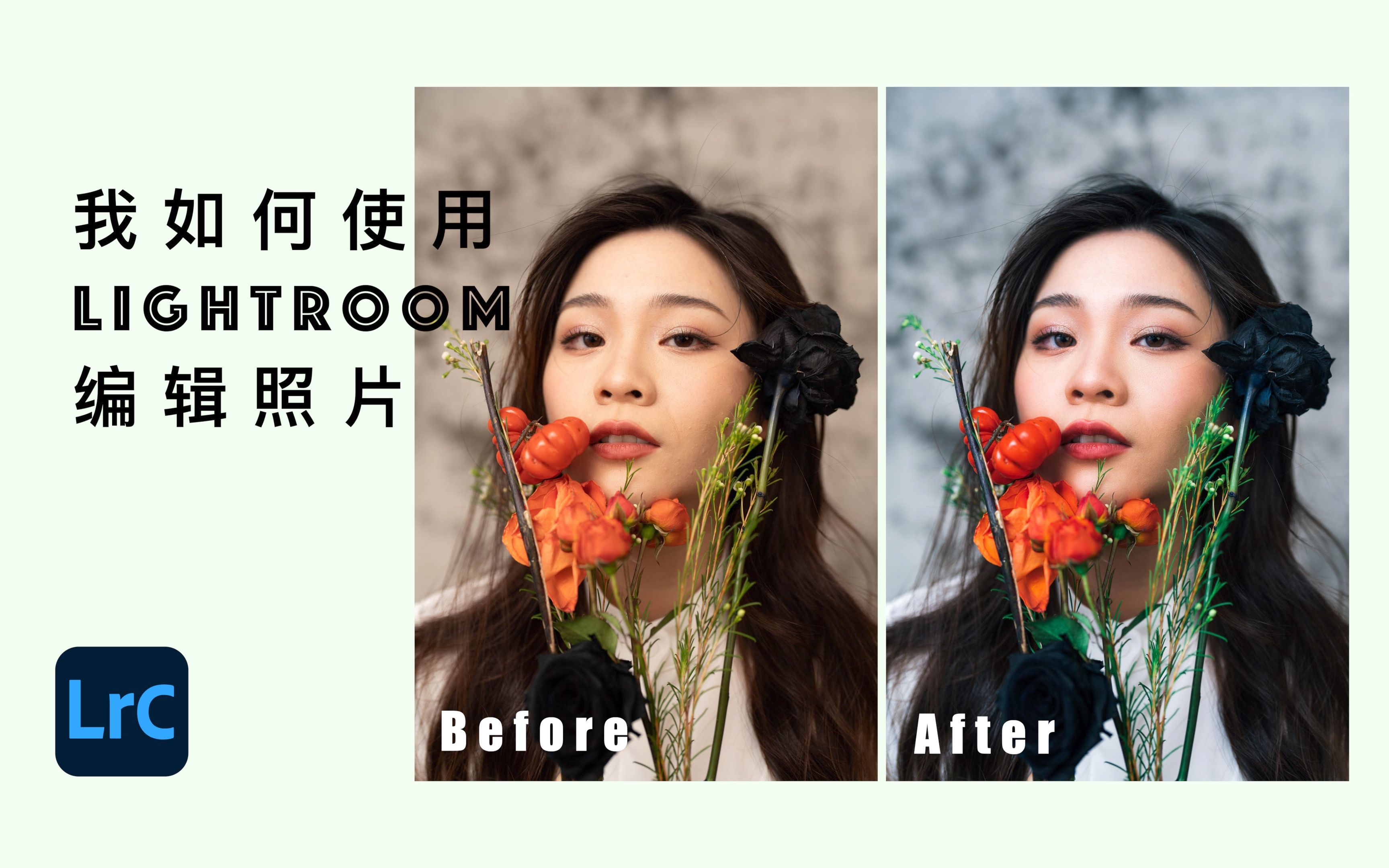 Adobe Lightroom Classic 基础修图教程|认识和使用Lightroom的照片...