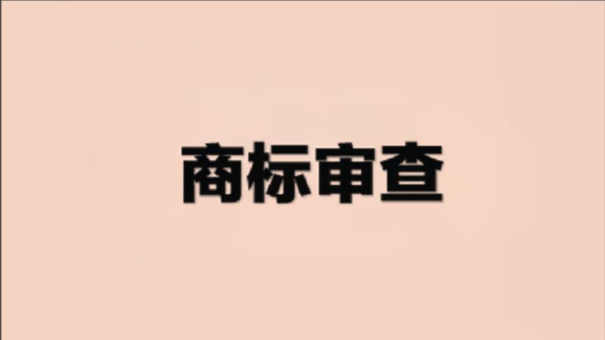 《商标的认识》017—商标审查