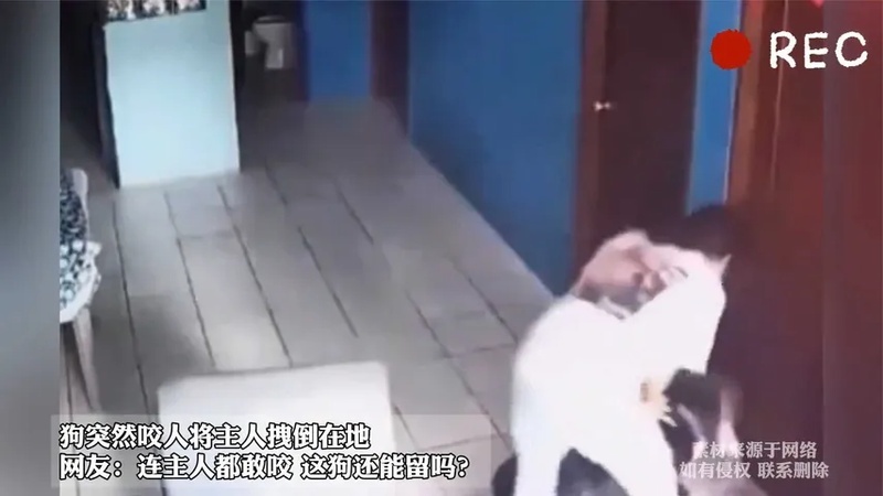 狗突然咬人将主人拽倒在地 网友:连主人都敢咬 这狗还能留吗?