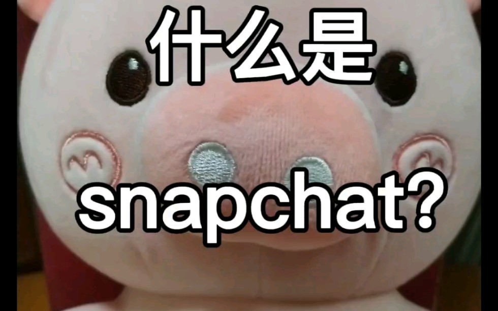 什么是snapchat?#外贸#跨境电商#snapchat