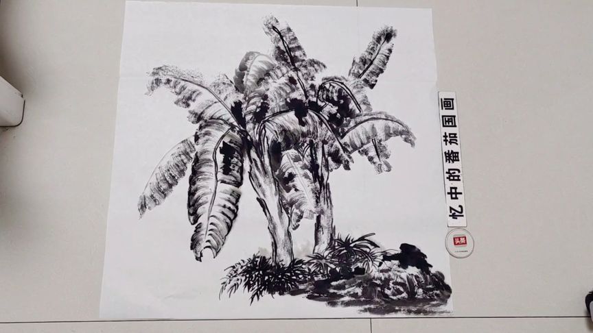 水墨画也可以画出素描的感觉,芭蕉树画法值得学习