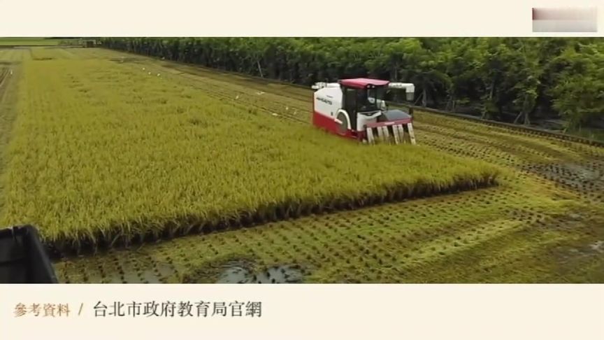 水稻的一生 一粒米的旅行 小小秧苗,怎么照顾才能变大米?