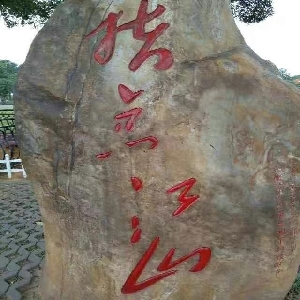 淘淘爸周强 
