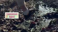 励志拼搏镜头2分20秒视频素材