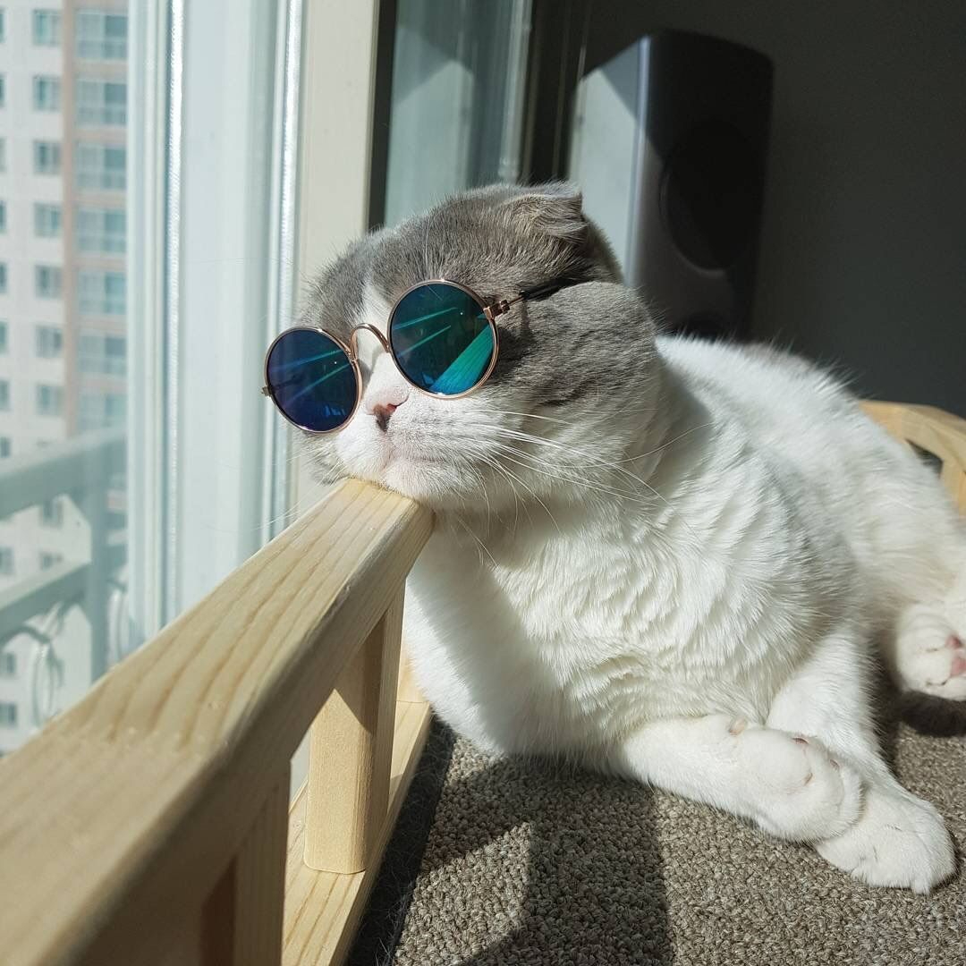 白日观星_ 