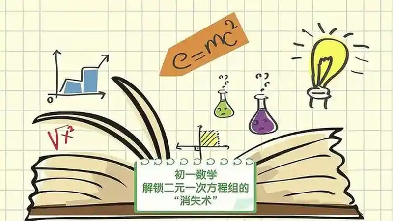 初一数学,解锁二元一次方程组的"消失术"
