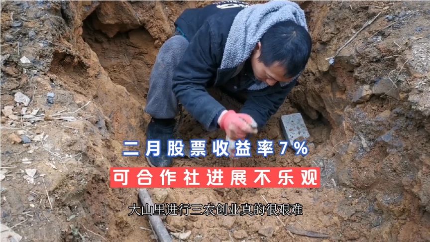 2月股票收益率可圈可点,居然超过92%股民,但合作社进展不顺