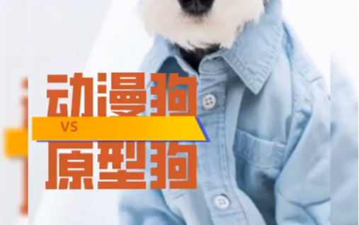 动漫里有很多狗狗的身影,一起来看看动画片里的狗狗原型吧!