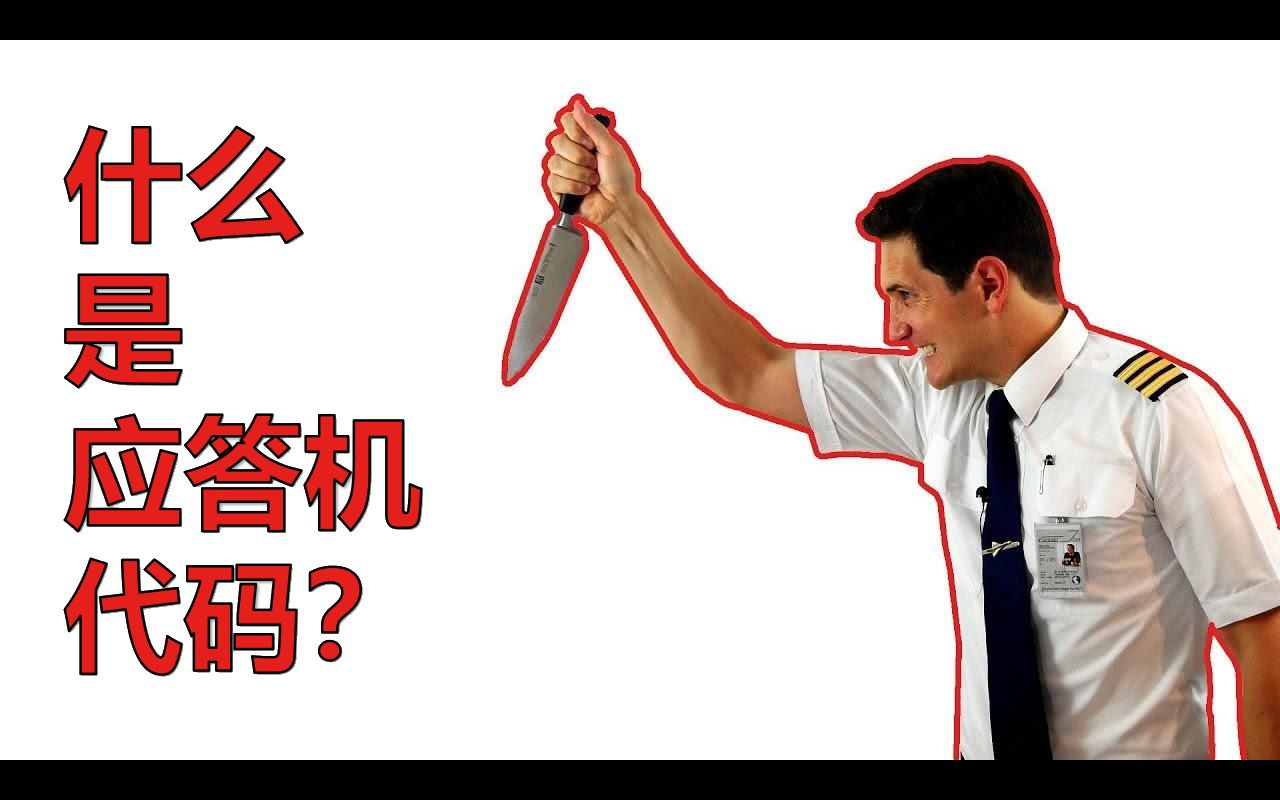 【Captain Joe】应答机代码是什么?(双语字幕)