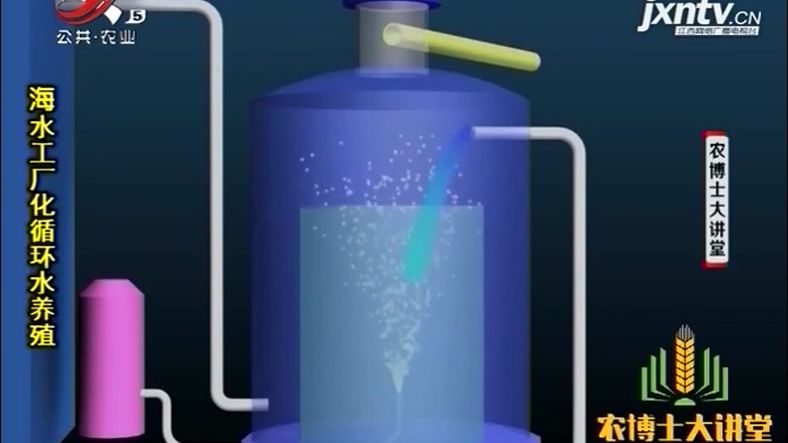 水养殖 2:海水工厂化循环水养殖,结构和流程是什么样的?