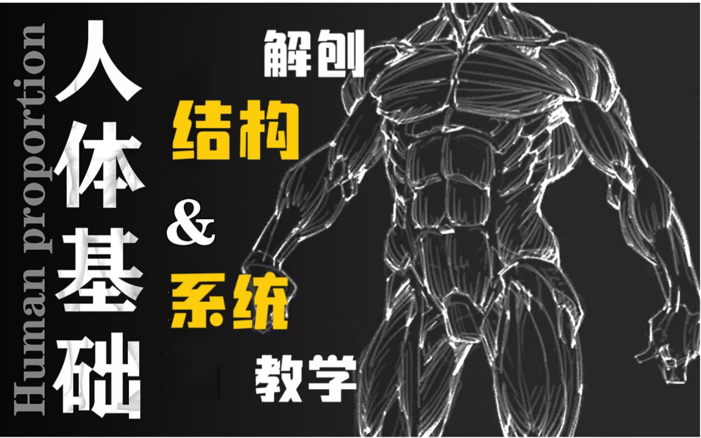 【人体结构解剖】 全网最详细的”人体知识 “,从骨骼,肌肉,人体从...