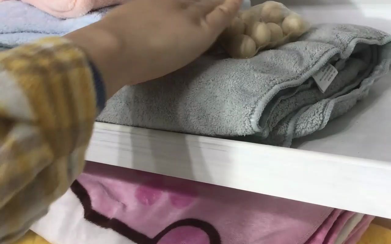 春风天然香樟木樟脑球衣柜防霉防虫蛀樟木球衣橱去味除臭驱虫清香