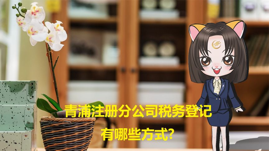 上海青浦注册分公司税务登记有哪些方式?