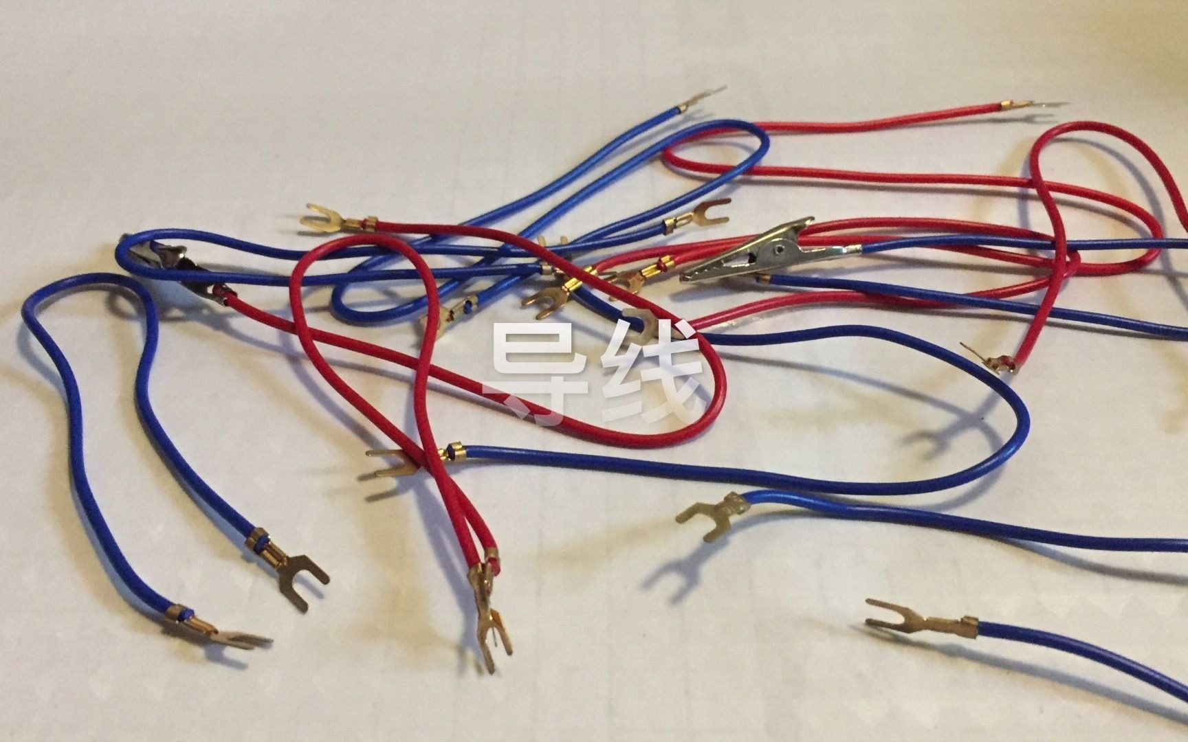 家庭小实验-简单电路-1认识电路