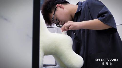 听说剪狗毛光宗耀祖吗宠物美容师培训赛级比熊一对一私教