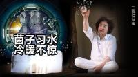 金针菇的七大健康功效详解