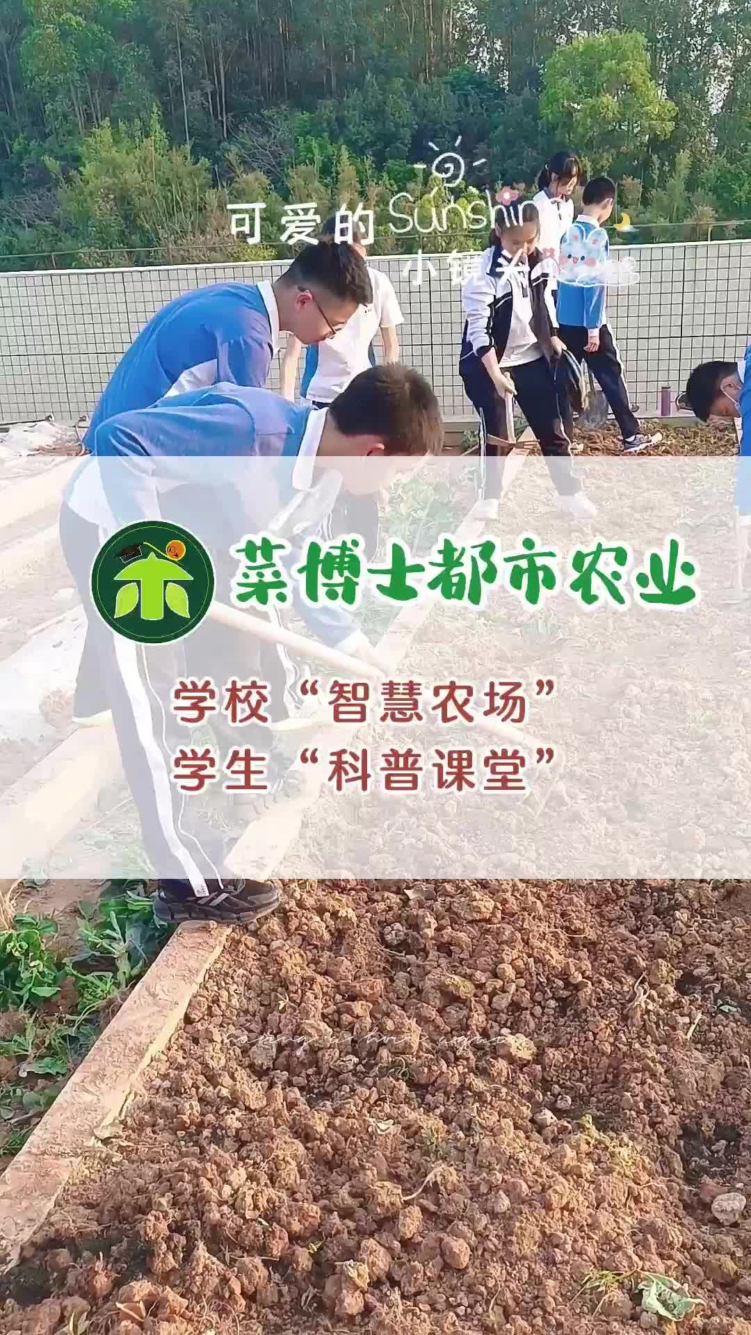 ...菜园实践基地,深圳社会实践研学基地展示学生劳动中;有社会实践活动...