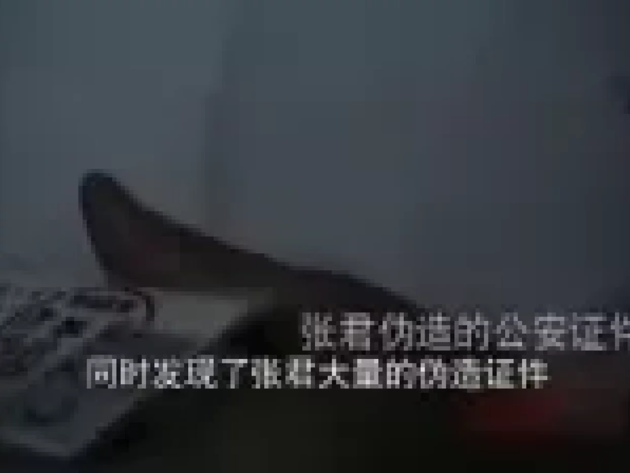 中国档案侦破记实录 21