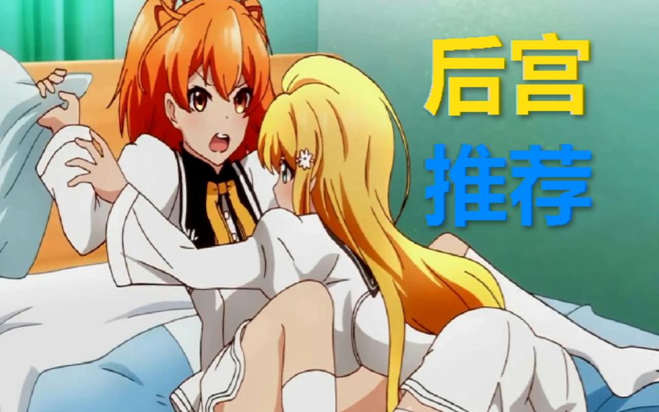 【补番推荐】五部校园后宫番