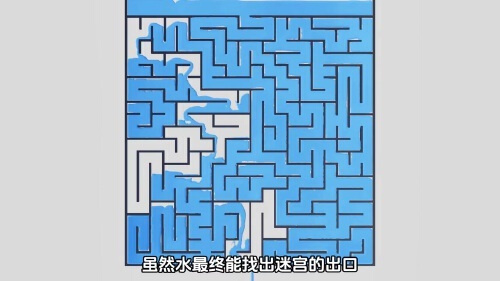 水能走出并找到最佳路径吗?