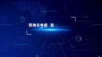 别墅电梯井道尺寸是多少的问默纳克电梯