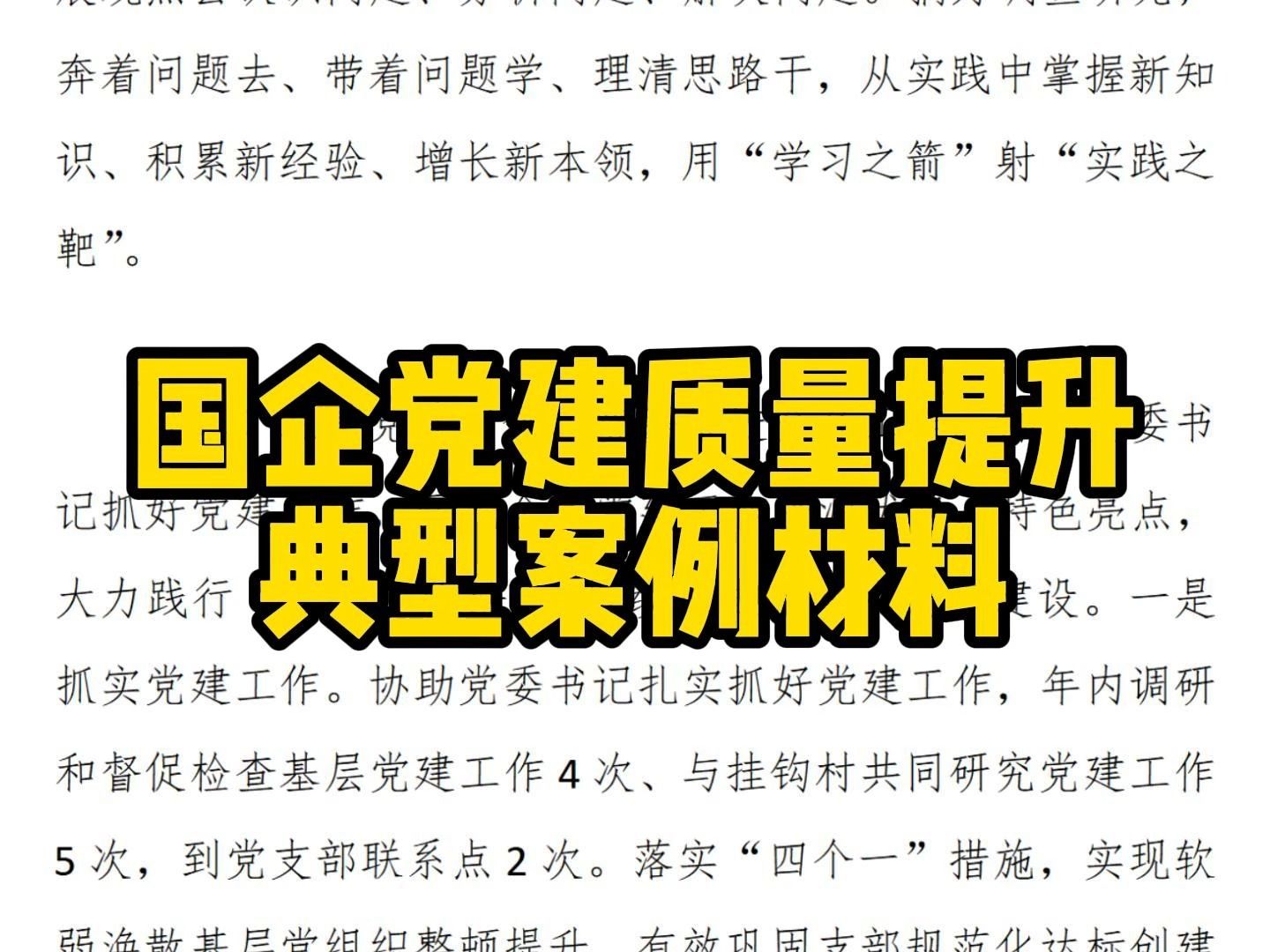 国企党建质量提升典型案例材料,党建,抓党建,抓党建工作,述职报告,...