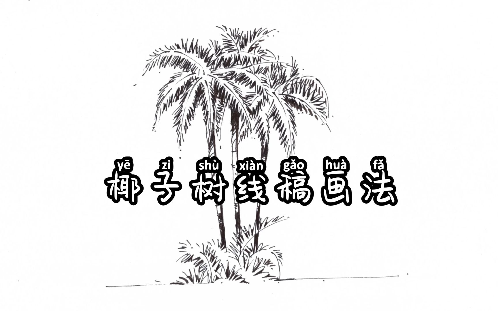 【手绘线稿】画出一颗好看的椰子树,原来这么简单!