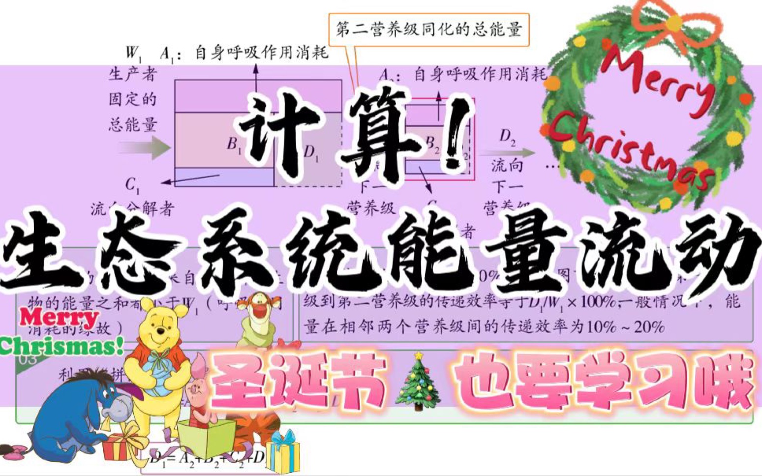 高中生物选择性必修2 | 生态系统能量流动计算专题 | 生态系统计算微专题