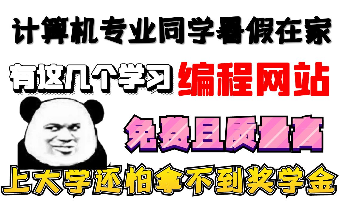 计算机专业同学暑假在家,有这几个学习编程网站,免费且质量高,上大学...