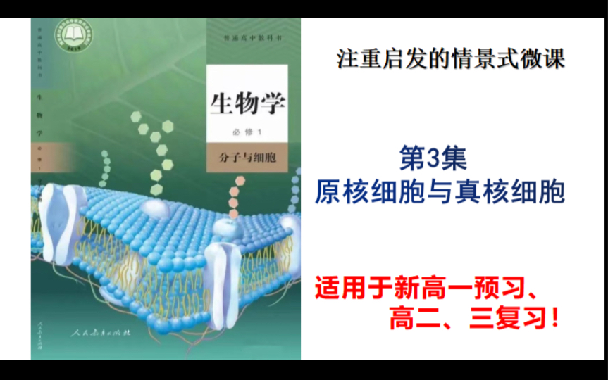 【高中生物情景式微课】第3集原核细胞与真核细胞