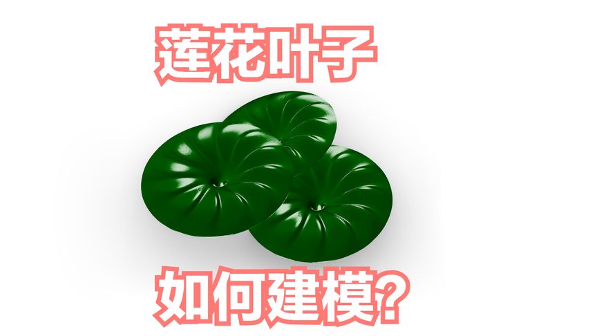 莲花叶子犀牛软件电脑三维绘图制作方法@珠宝3D建模培训黄鹤楼