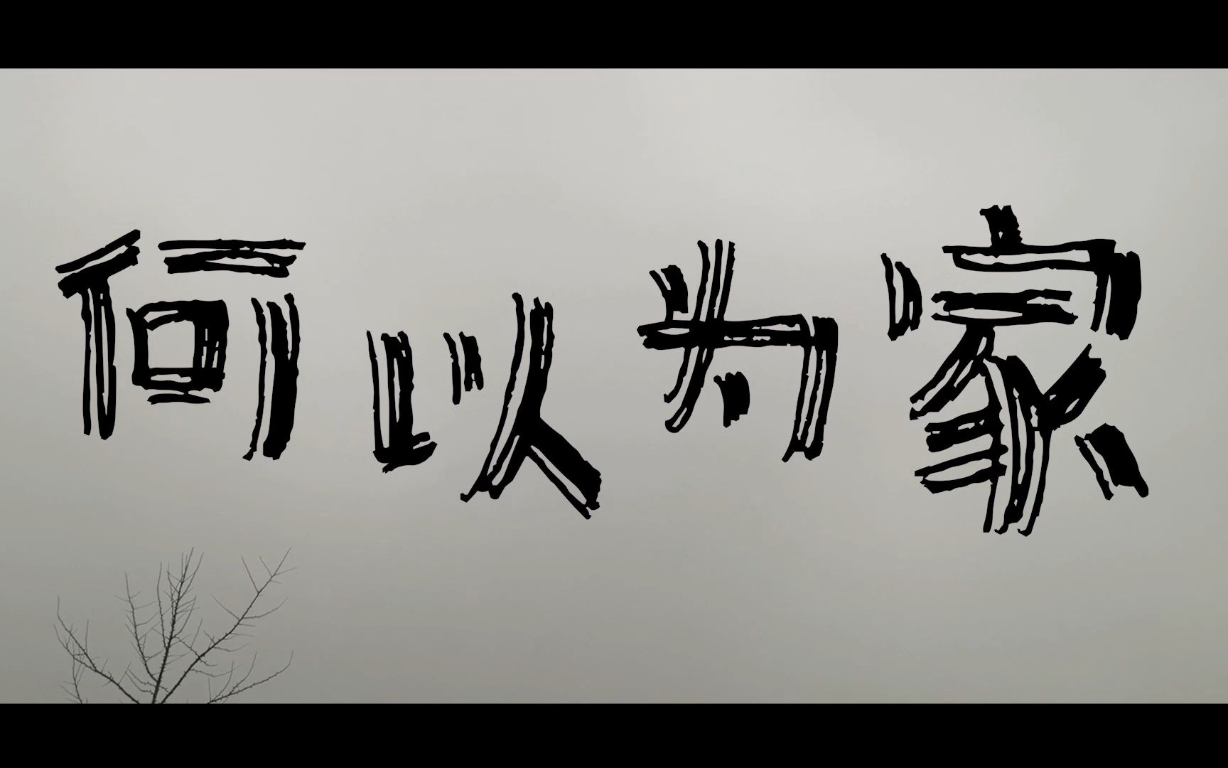 【视频作业】何以为家 · 流浪动物宣传片(可以让我蹭一个联合投稿吗...