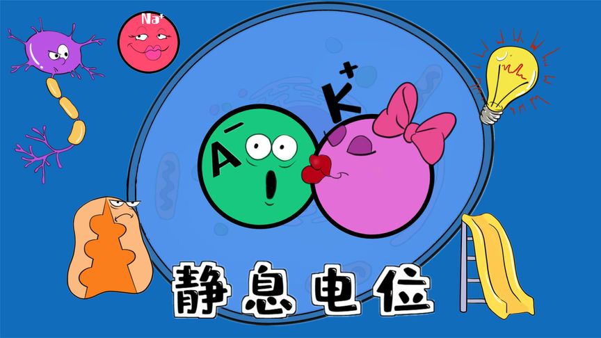 医学漫画|终于弄懂细胞的膜电位、平衡电位、静息电位、动作电位