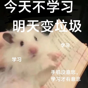 包子的生活空间 