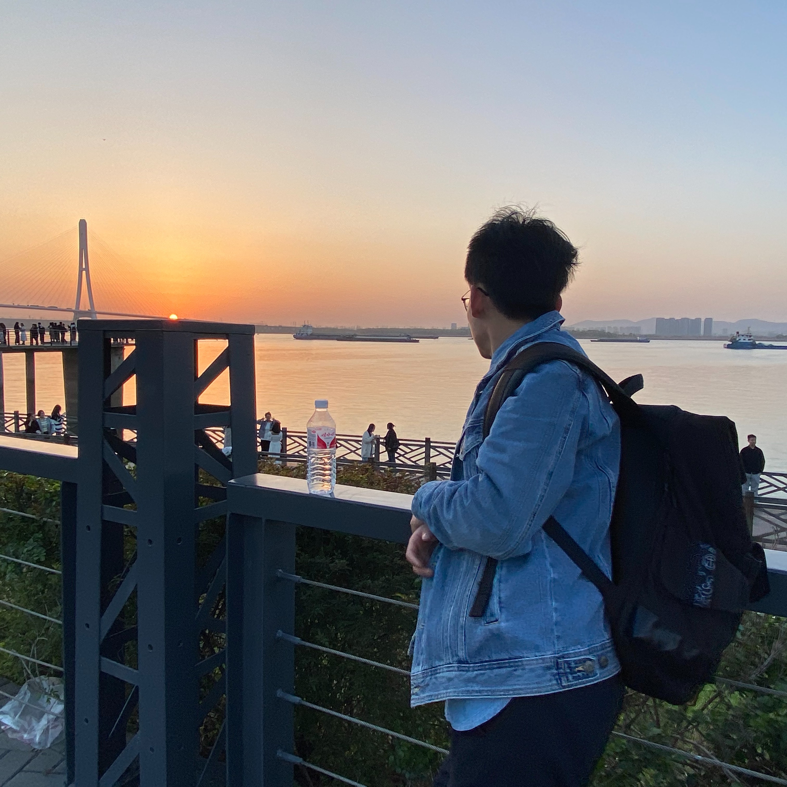 小海豚爱吃柠檬 