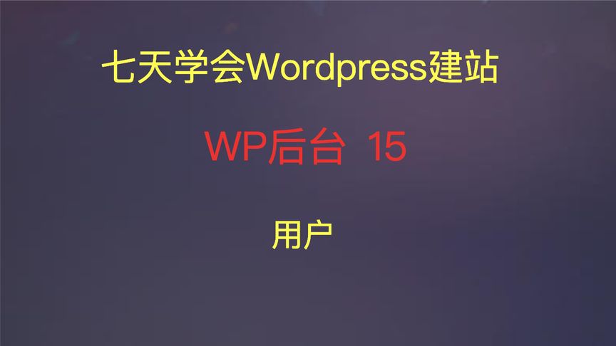 wordpress用户管理页面设置外贸网站平台搭建高级视频教程合集
