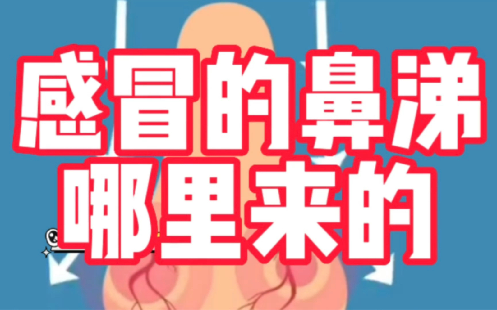 感冒的鼻涕哪里来的